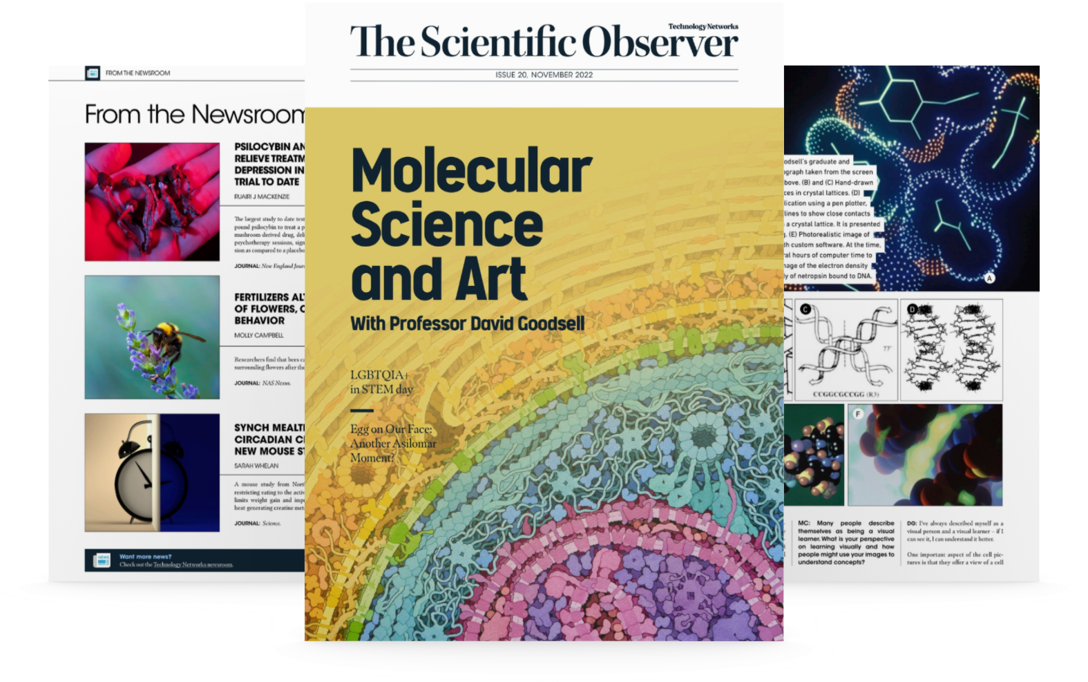 The Scientific Observer Issue 20